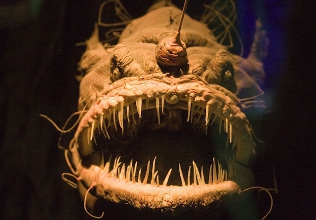 Meghökkentő lények