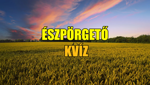 Napi észpörgető KVÍZ – Seperd be az elismerést! - Kvízmester.com