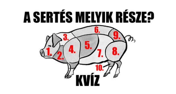 A disznó melyik része? KVÍZ - Mindenki ismeri, de hol is vannak ...
