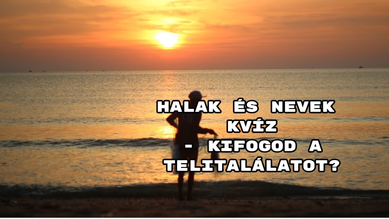 Halak és nevek kvíz, általános kvíz, halas kvíz