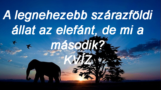 Azt mindenki tudja mi az első, de mi áll a második helyen? 2. rész KVÍZ ...