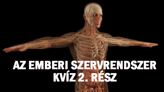 Az emberi szervrendszer kvíz. Lássuk, elég tajékozott vagy e?! 2. rész ...